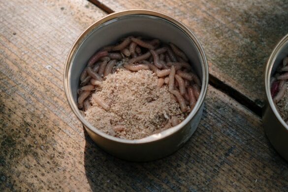 Ontmoet Anna Groeneveld: Eén naam, vele levensverhalen - Yiro